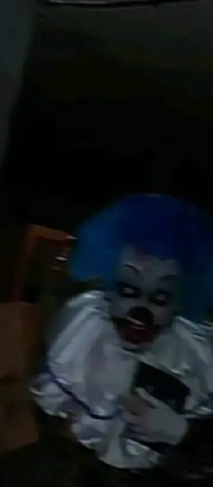 LULI :: CLOWN RENTAL DMD